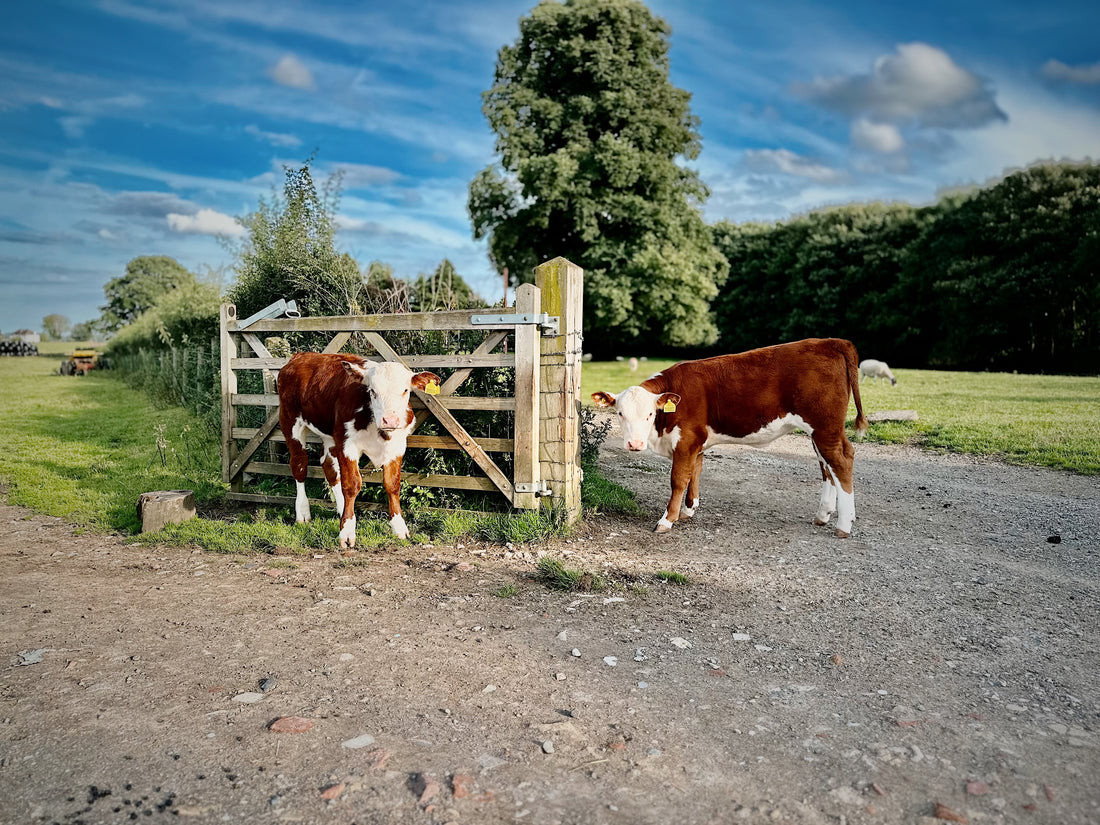 Home Farm Produce Co
